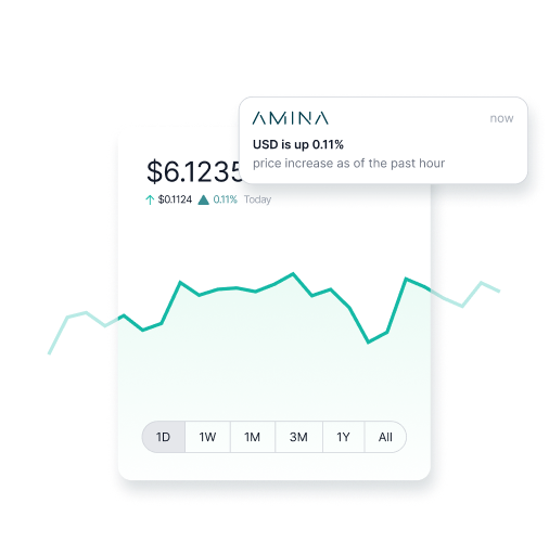 Discretionary Portfolio Management for Corporates | AMINA