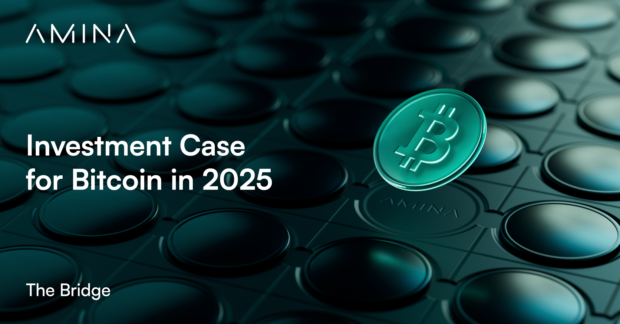 Investment Case for Bitcoin in 2025
